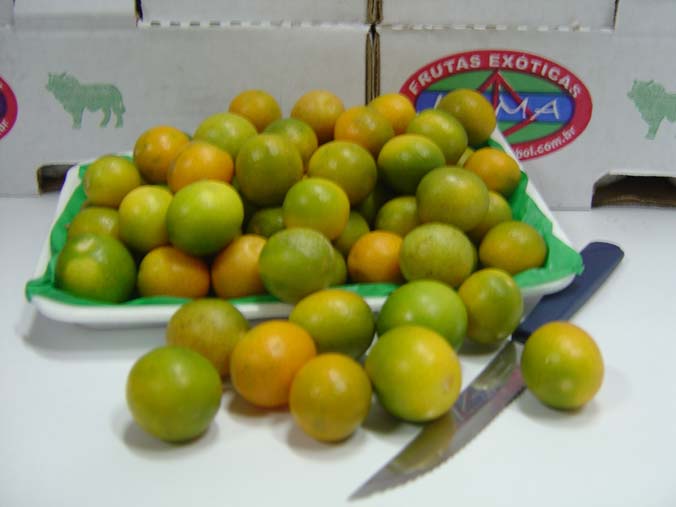 FrutasLuma - Home Page