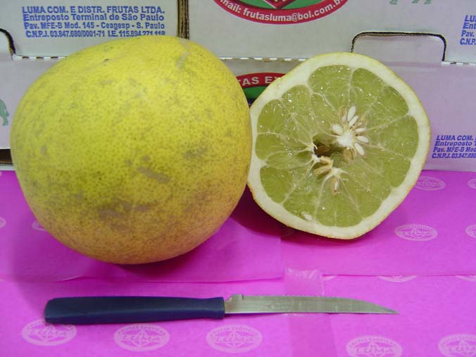 FrutasLuma - Home Page